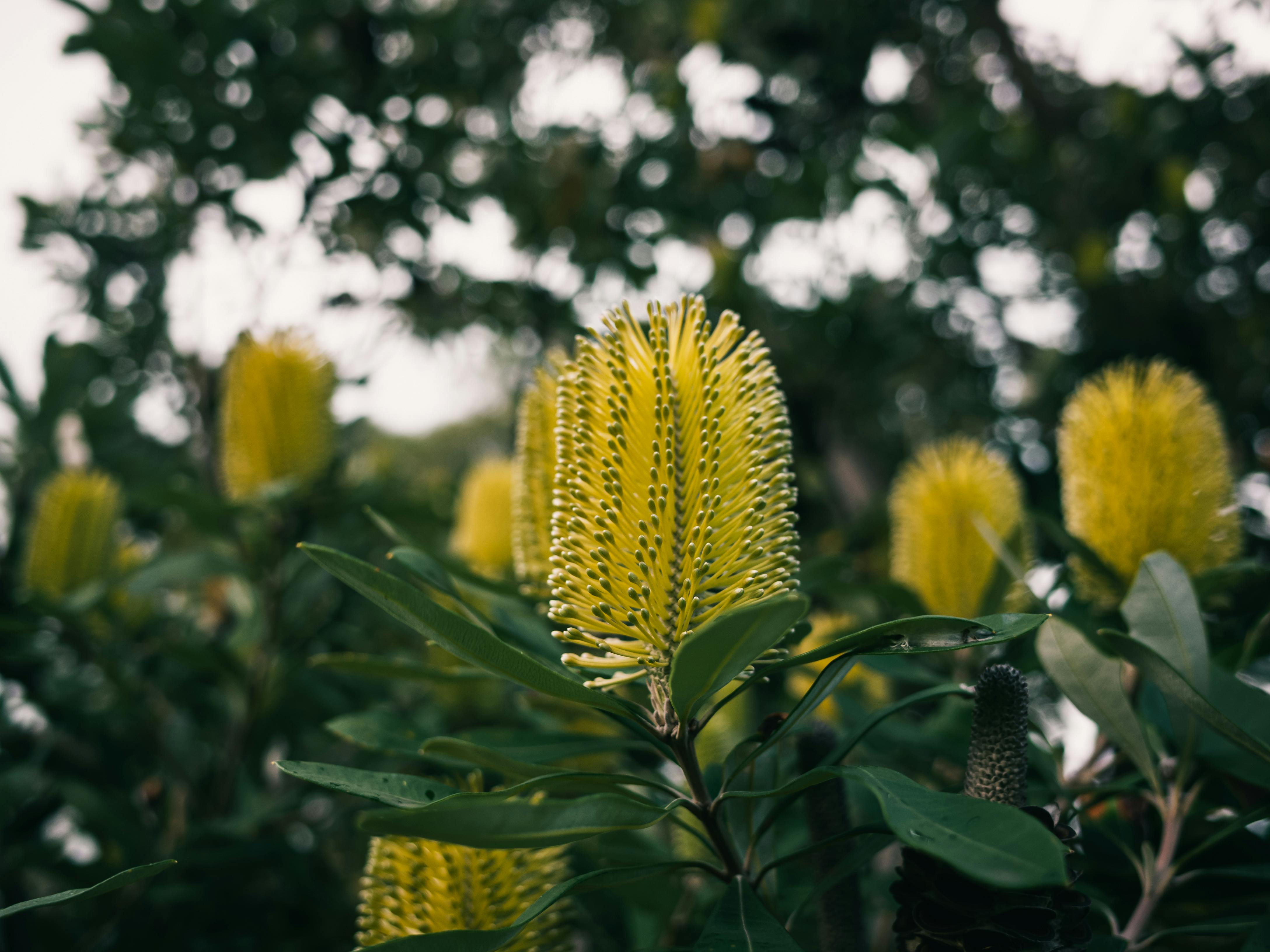 The Horticulture Company | Native Landscaping & Ecosystem Restorations ...